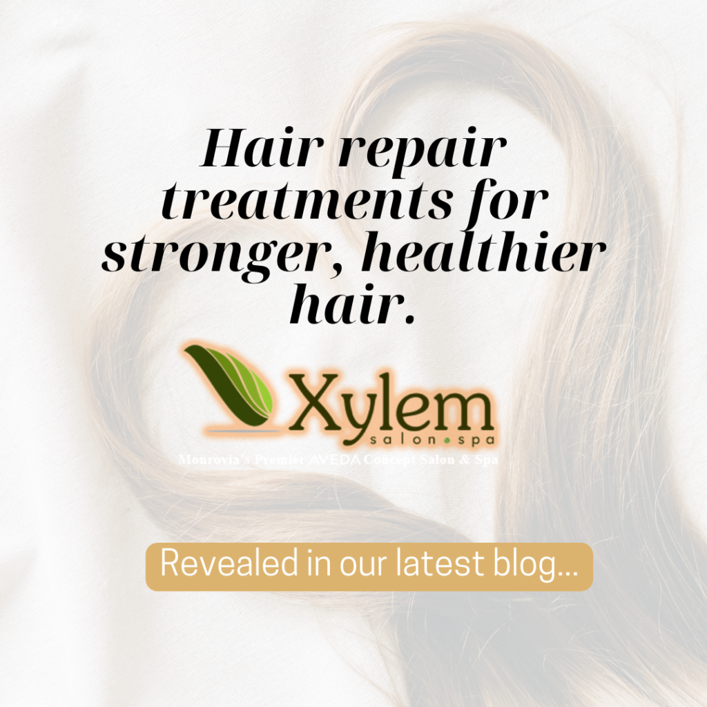Transform your hair from the inside out - Xylem Salon Spa - Monrovia, CA